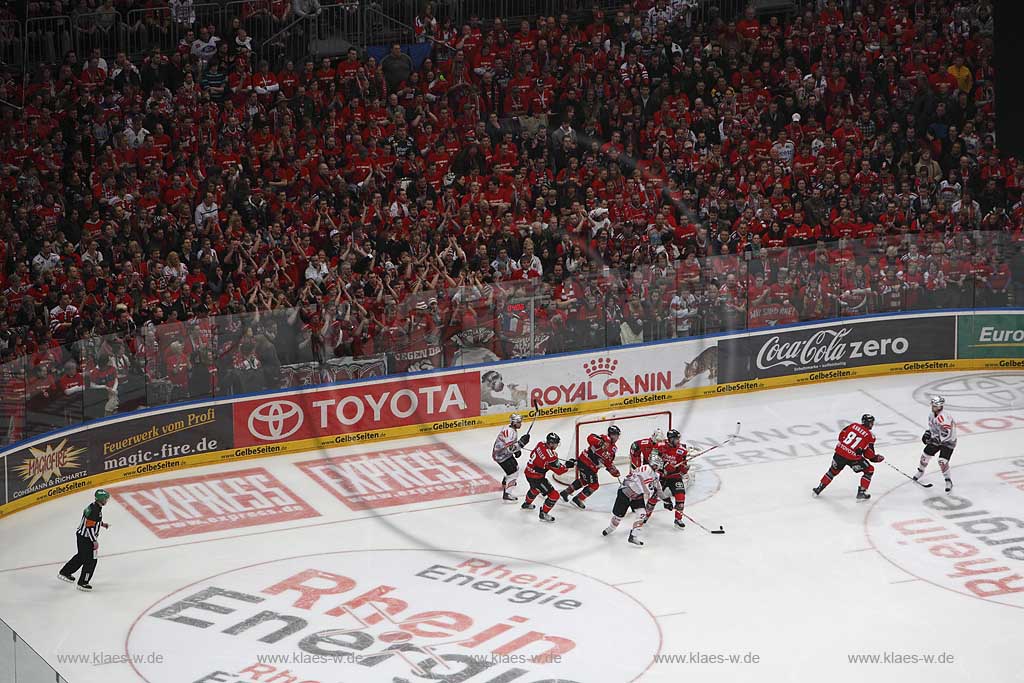 Kölner Haie